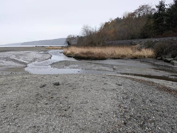 Carkeek Park: Beaches and Beavers and History - Theresa Hupp Author