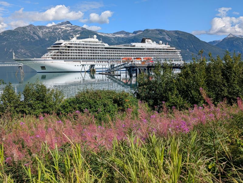 Viking Alaska Cruise - Theresa Hupp Author